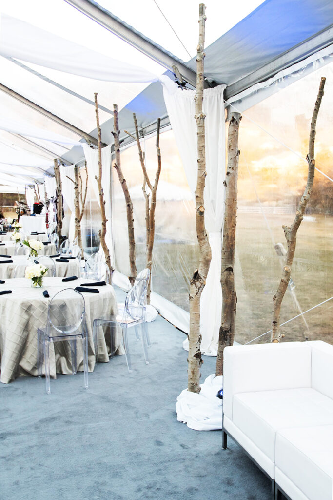 Aspen Tree Clusters - All Out Event Rental