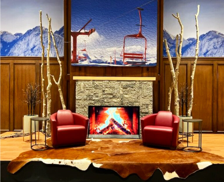 Brown Cowhide Rug | All Out Event Rental